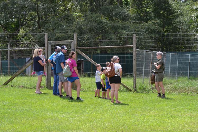 From Barn Hill to world: Ligon takes conservation passion to global ...