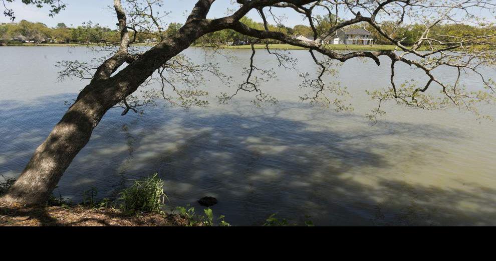 Two planning meetings set for Baton Rouge lakes | News | theadvocate.com