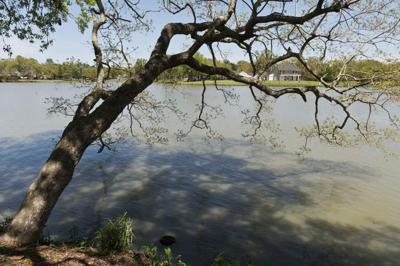 Thursday meeting set for talks on Baton Rouge lakes improvements | News ...