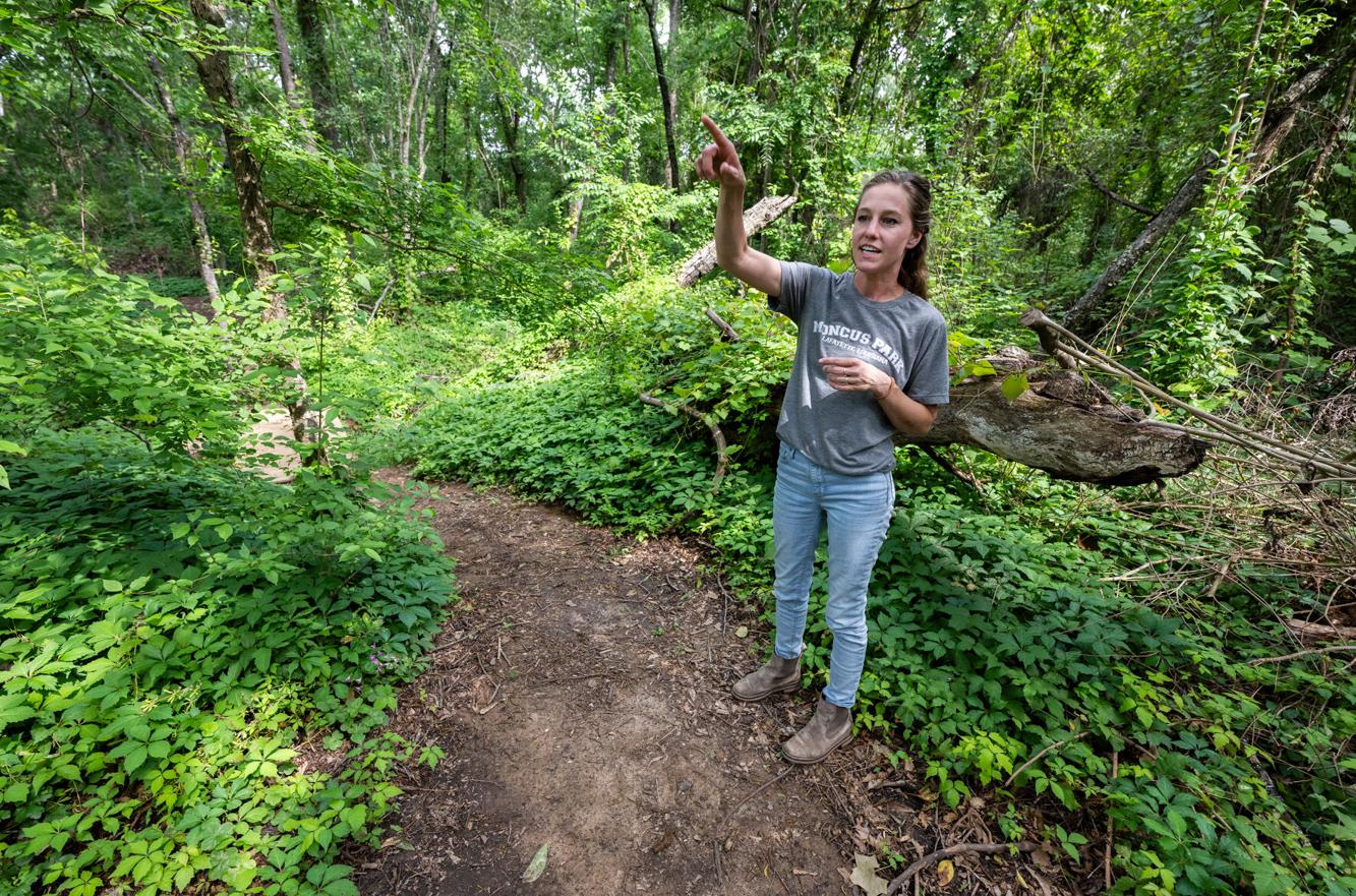 Moncus Park biodiversity conservation in Lafayette, LA | Entertainment ...