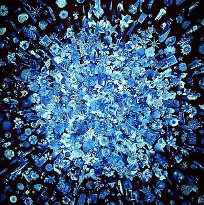 Works by Jason Leinwand, Lindsay Kane, Rachel DeTrinis and Carlos ...