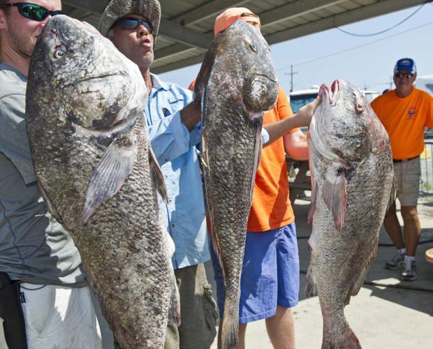 2014 International Grand Isle Tarpon Rodeo | News | theadvocate.com