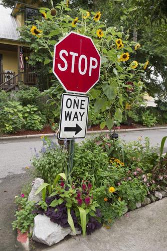 Spanish Town men put new spin on urban sprawl with rambling landscape ...