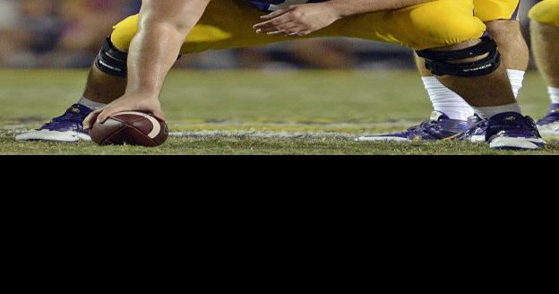 LSU reserve center Andy Dodd plans to transfer; school announces ...