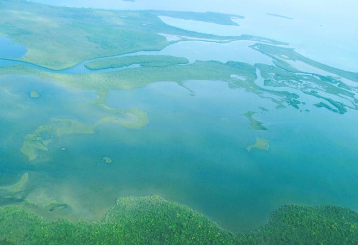 LSU professor discovers site of oldest Maya salt works | Entertainment ...