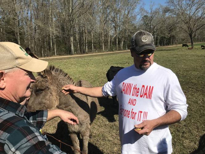 Darlington Dam dilemma: Should they sacrifice rural way of life to ...