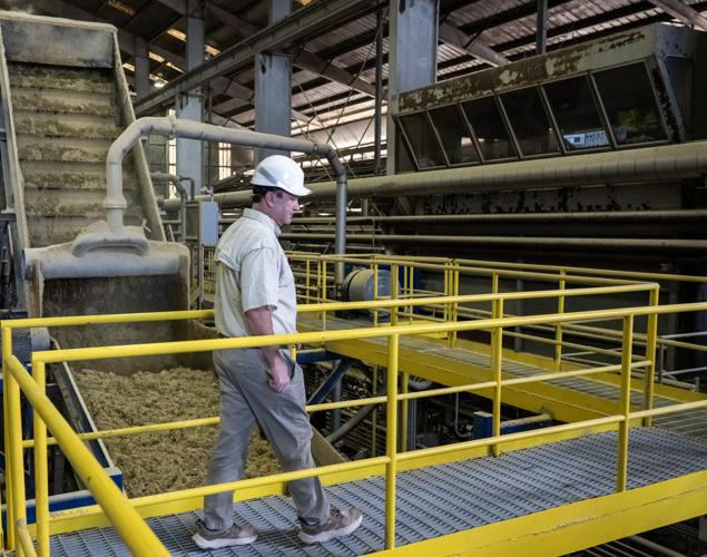 Here's how sugar is made in Louisiana: inside a sugar mill | Baton ...