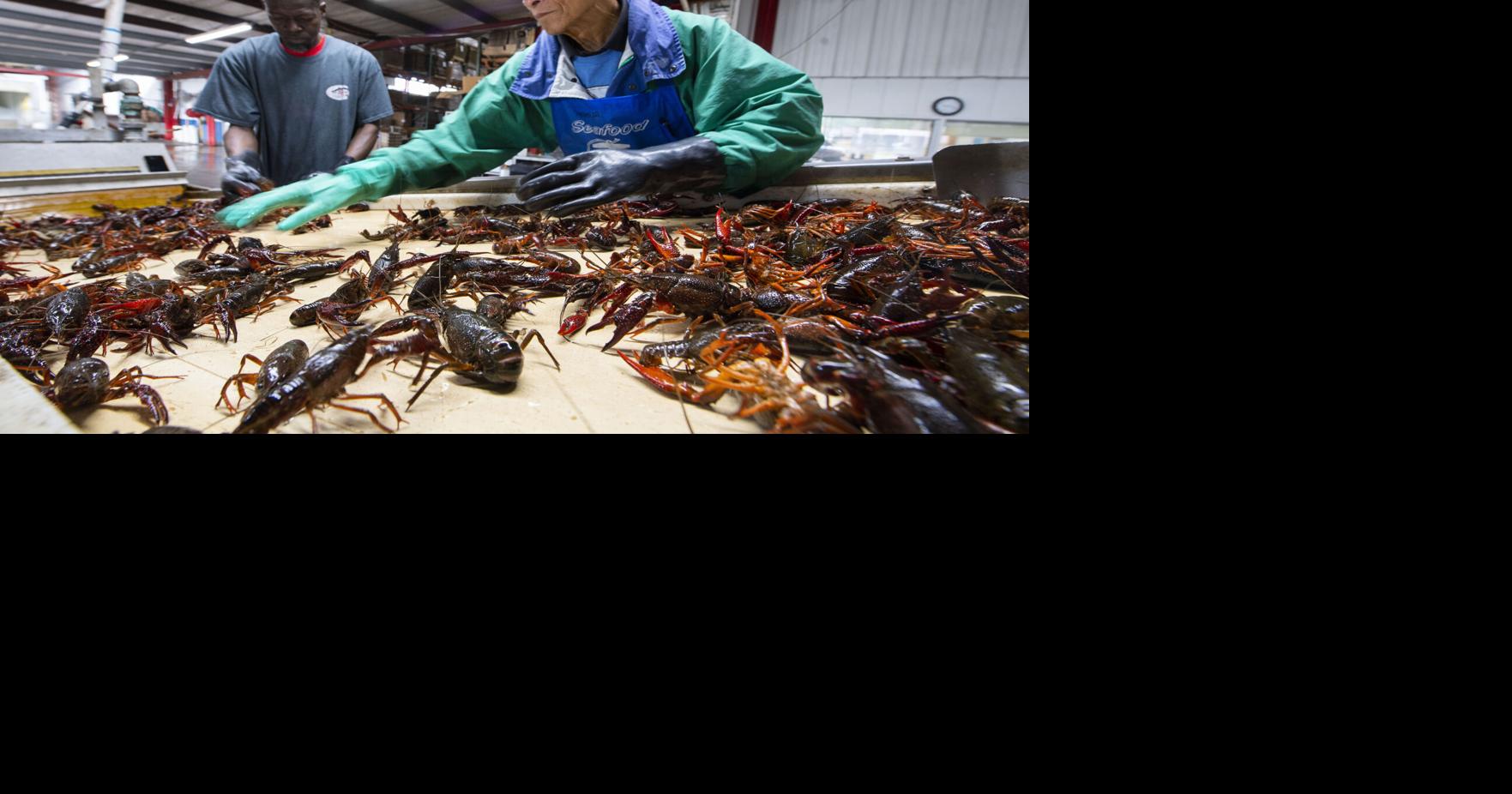 Easter weekend is one of Tony's Seafood's biggest | Entertainment/Life ...