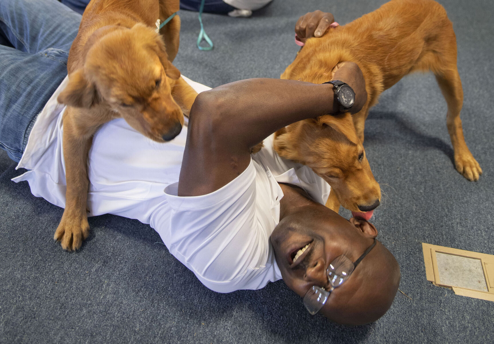 Photos: PAWS program inmates at Angola train service dogs for veterans ...