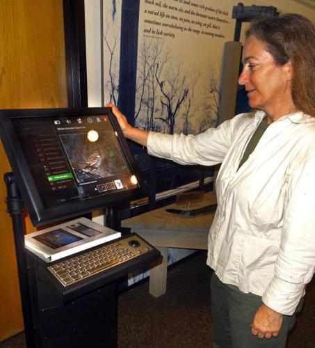 Barataria eBird kiosks help track flight on Migratory Bird Day | News ...