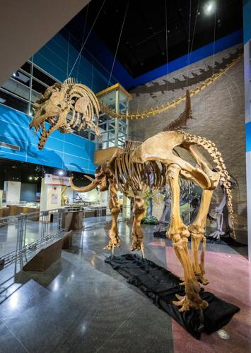 How university partnership revived Lafayette Science Museum | Louisiana ...