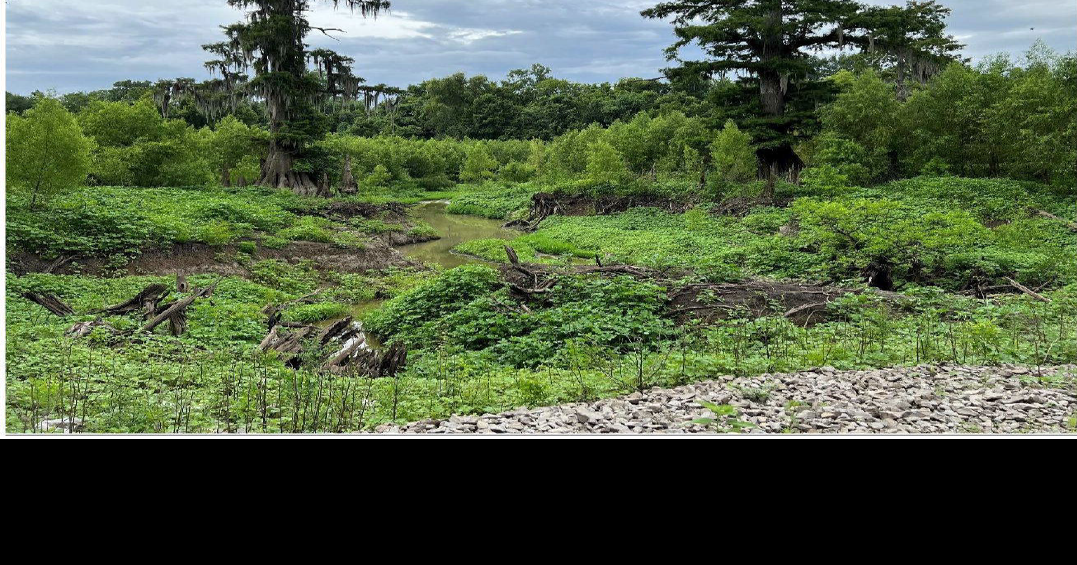 $3.2 million cleanup set for Devil's Swamp near Baton Rouge ...