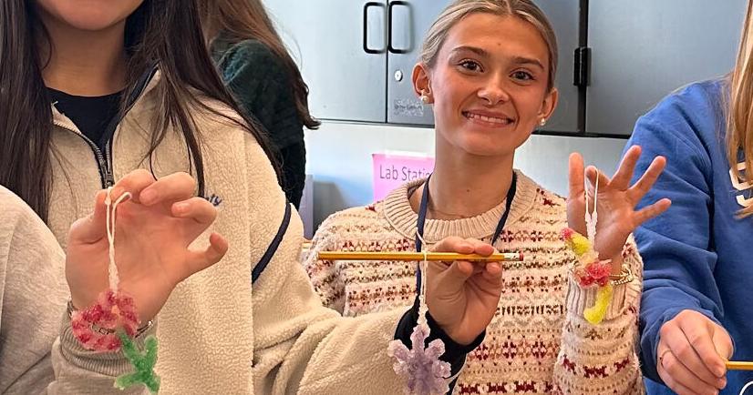 Holiday themed chemistry lesson creates ornaments | St. Francisville ...