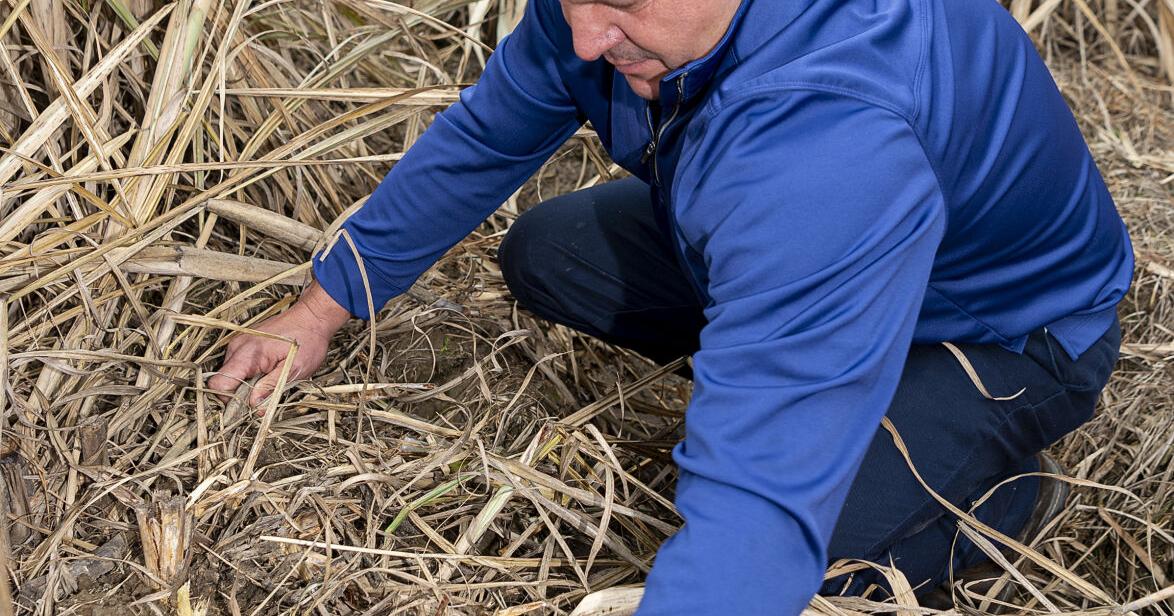 ACA.coldsugar.adv.012725.003.jpg | | theadvocate.com