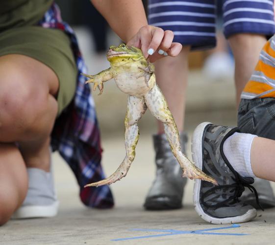 Photos: The 45th annual Rayne Frog Festival | Photos | theadvocate.com