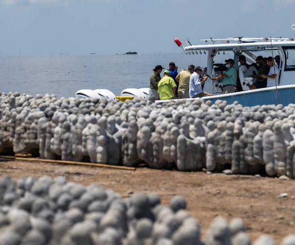 'Cajun coral' builds an artificial reef off Louisiana coast ...