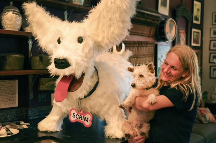Scrim, New Orleans famous fugitive dog, captured ... again ...