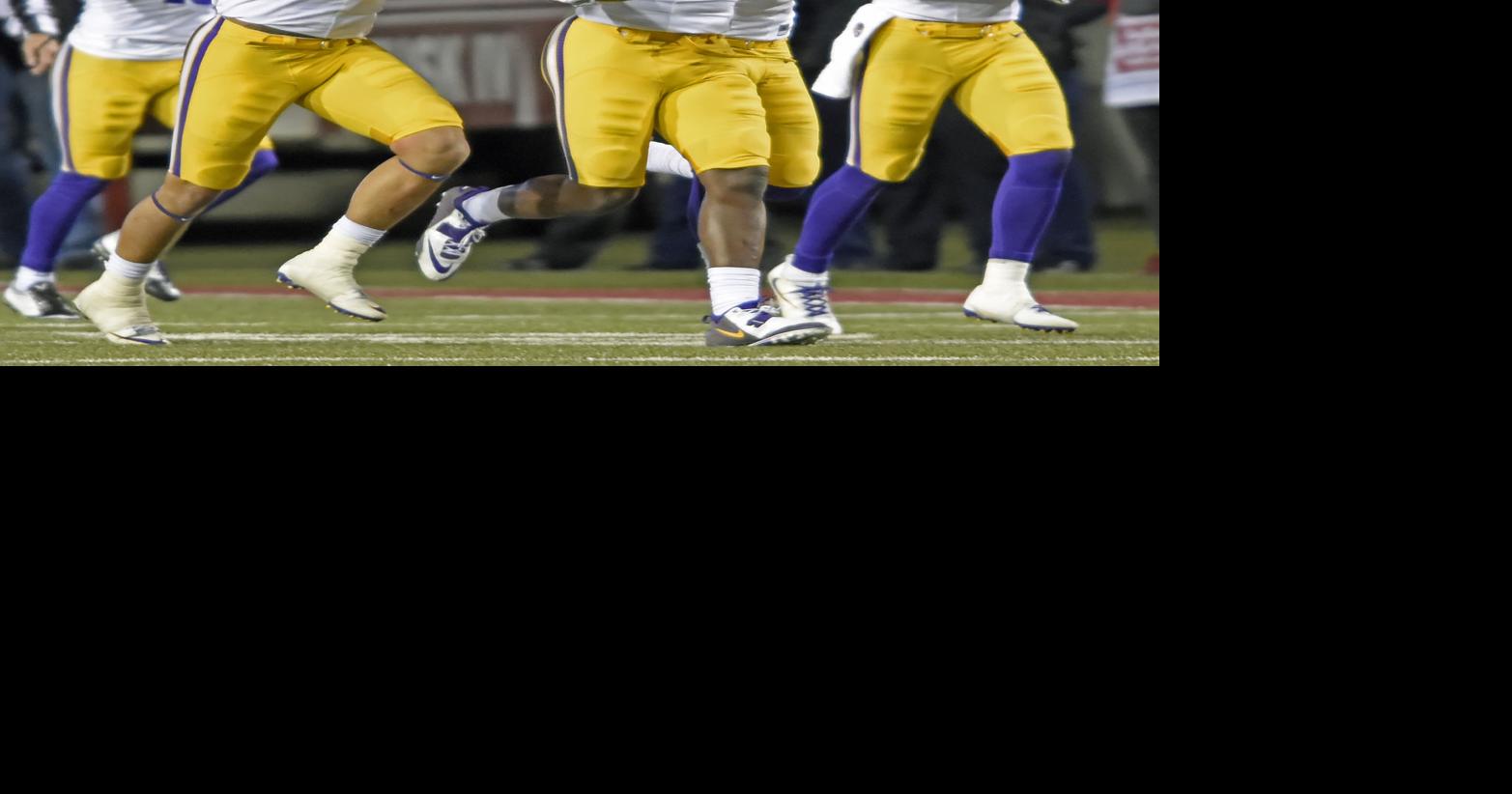 LSU's many seniors, NFL-bound talent set for one last hurrah at Tiger ...