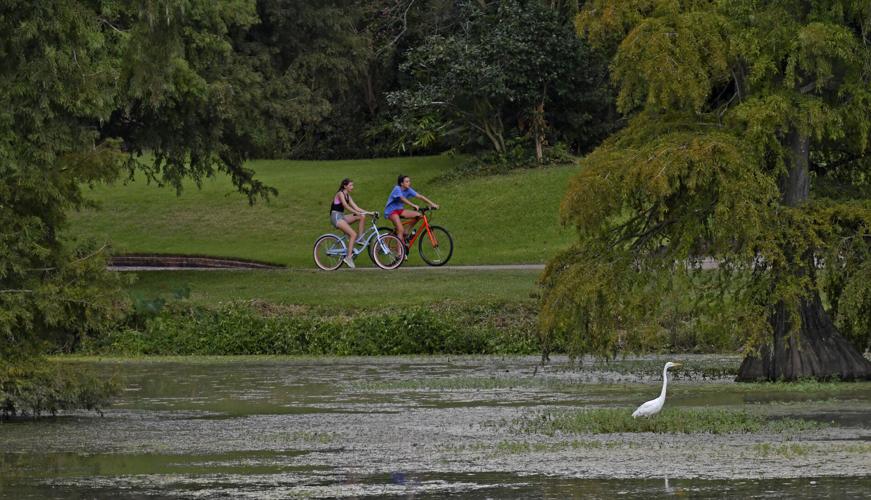 Delayed LSU lakes overhaul may soon get funding; plan includes new ...