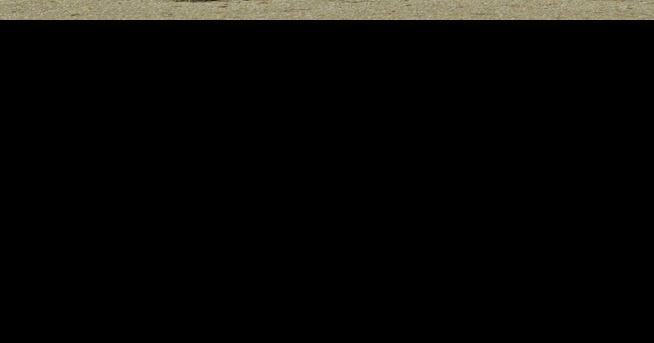 Versatile LSU infielders Bianka Bell, Sahvanna Jaquish on All-America ...