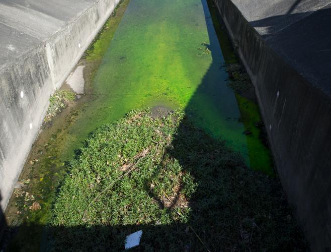Don't worry if you see a fluorescent green coulee; it's part of routine ...