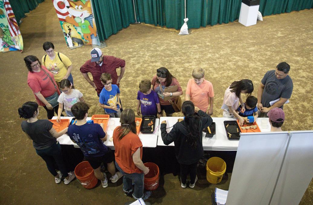 Photos: AgMagic takes over LSU's Parker Coliseum | Baton Rouge ...