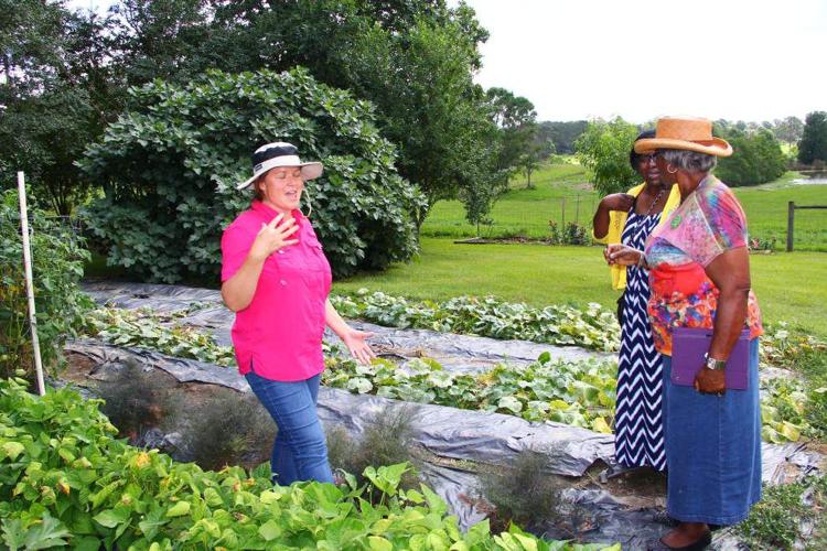 Southern, SARE program host tour of farms | St. Helena | theadvocate.com