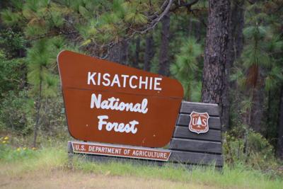 Hand over a national forest to locals? Send that order back | Opinion ...