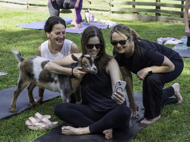 A look back at 2025 through our favorite photos | Livingston/Tangipahoa ...