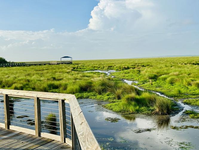 What to know about Louisiana's Cypremort Point State Park | Travel ...