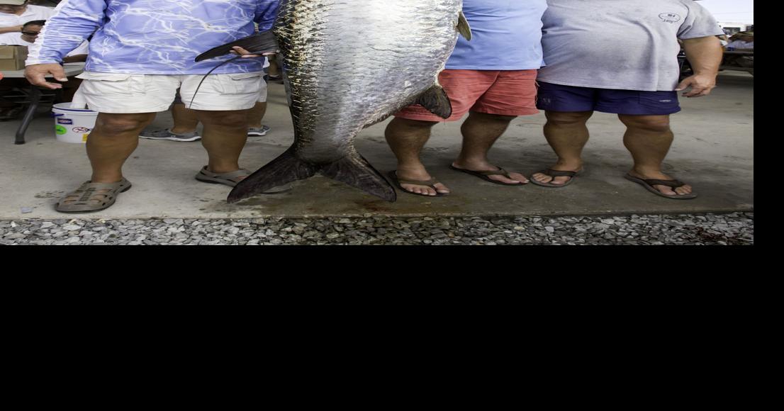 Grand Isle Tarpon Rodeo closes with a flourish — and a dozen more ...