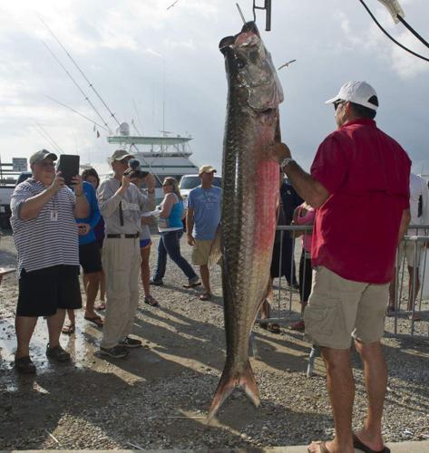 Cheramie leads Grand Isle Tarpon Rodeo after first day | Louisiana ...