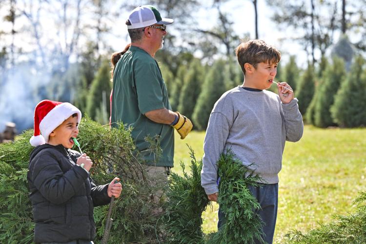Windy Hills Tree Farm opens for families looking for fresh trees | East ...