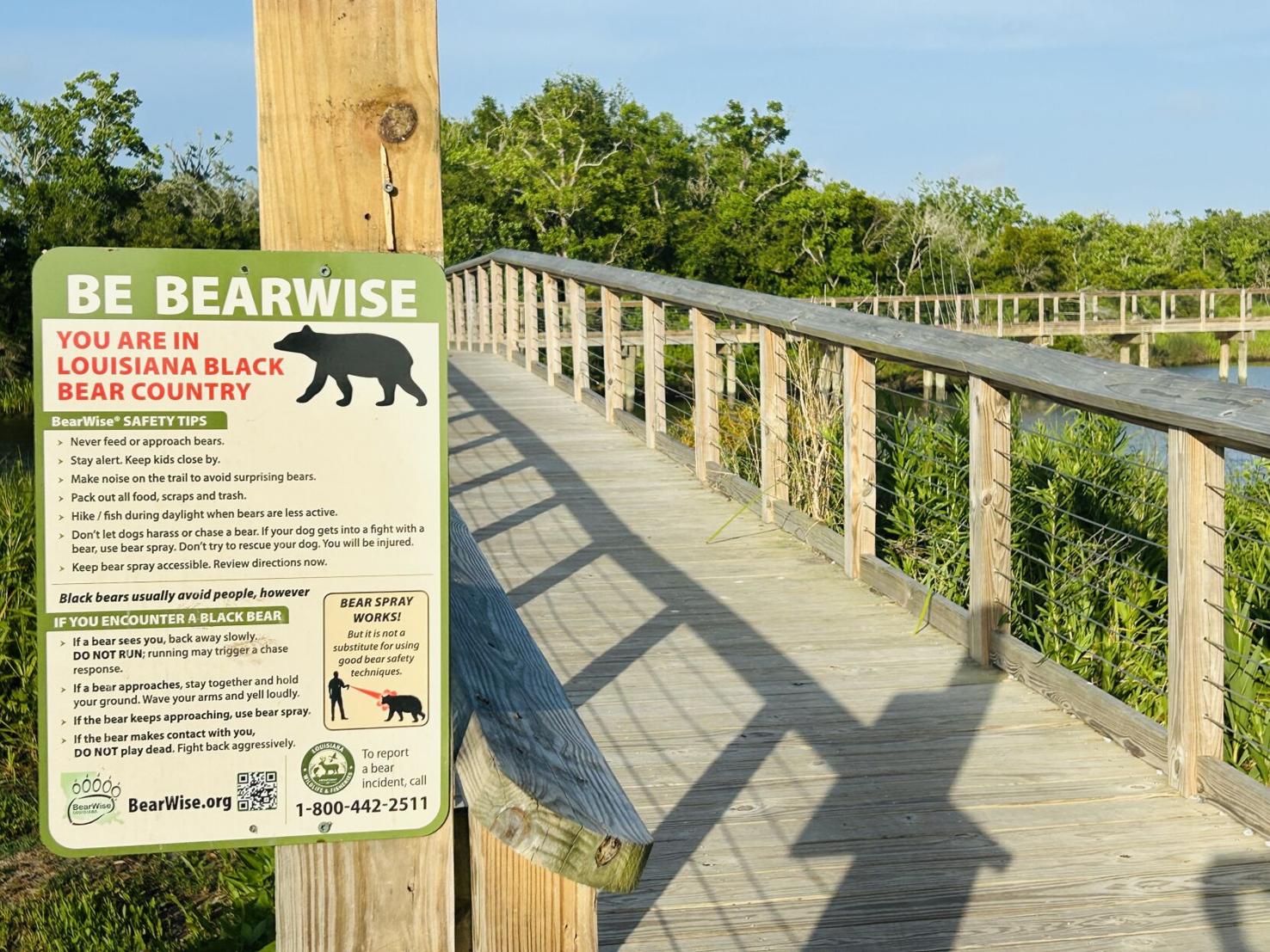 What to know about Louisiana's Cypremort Point State Park | Travel ...