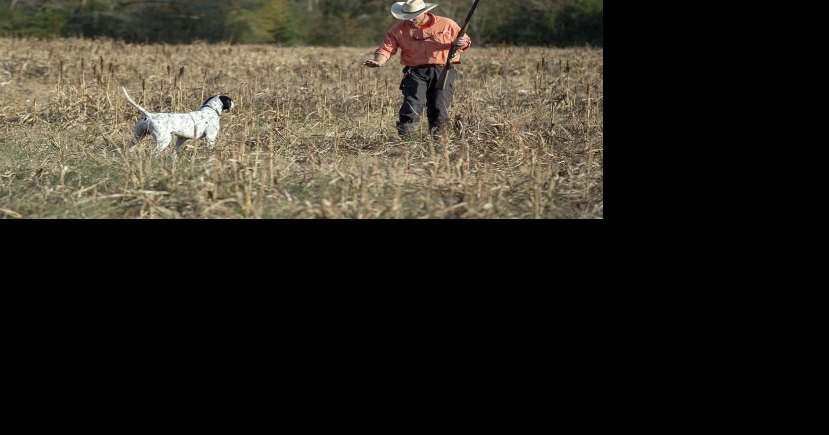 Top dog: Retrievers show off their talents in St. Francisville regional ...