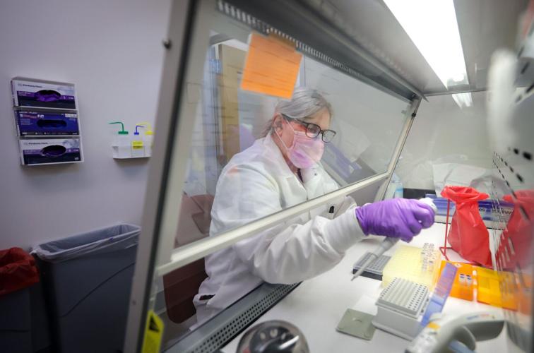 DNA helps ID skull found years ago in Slidell marsh | News ...