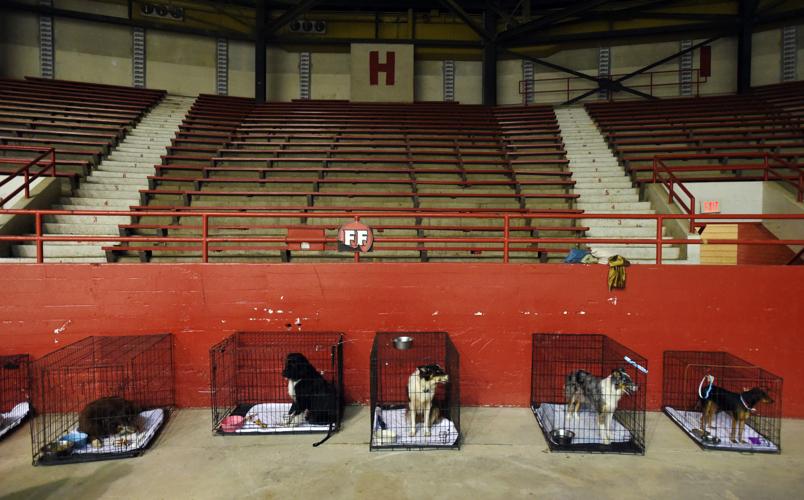 Blackham Coliseum built to host SLI men's basketball games | 200 for ...