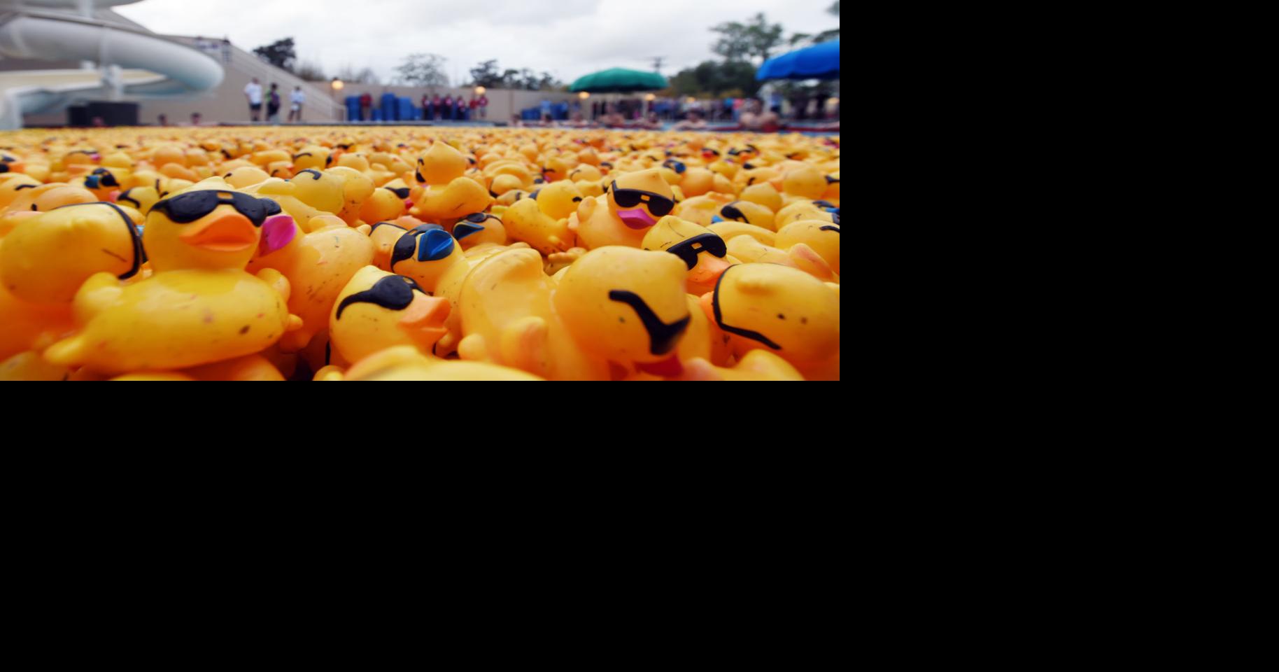 Photos: Running of the Ducks | Photos | theadvocate.com