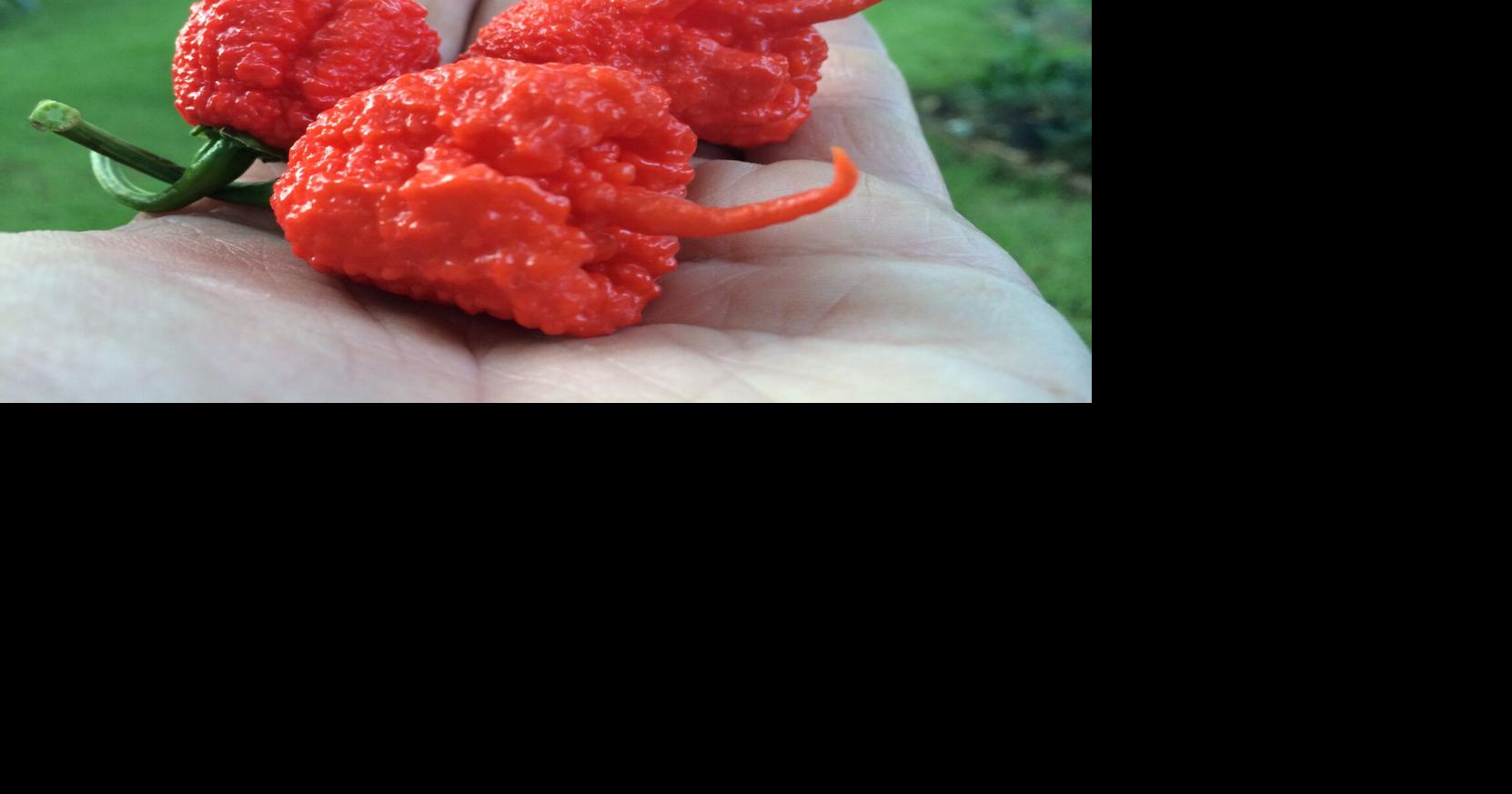 Sponsored: Primo's Peppers in Lafayette, Louisiana | Sponsored ...