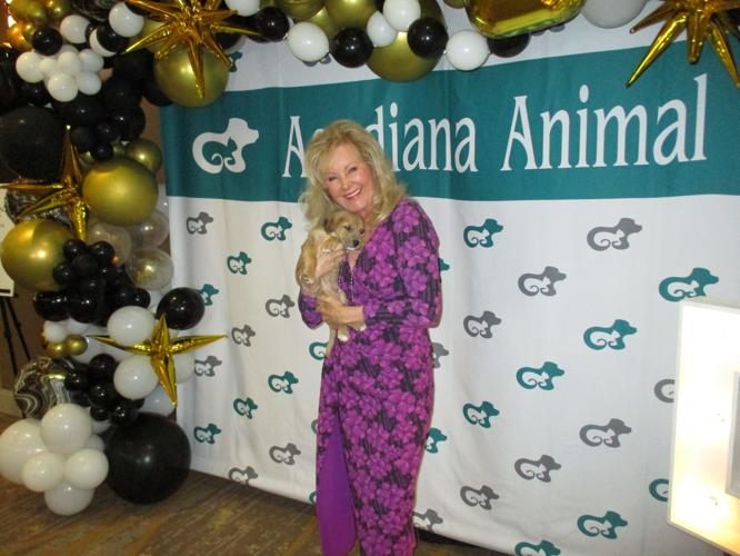 Acadiana Animal Aid celebrates 50 years at Bark in the Dark Gala ...