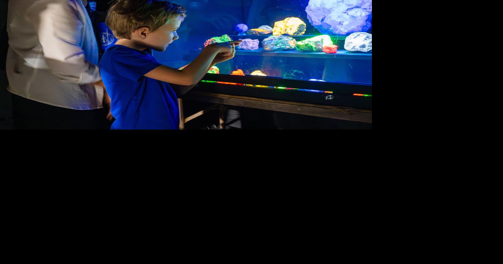 Photos: BR Gem & Mineral Society celebrates 60th Gem & Mineral Show ...