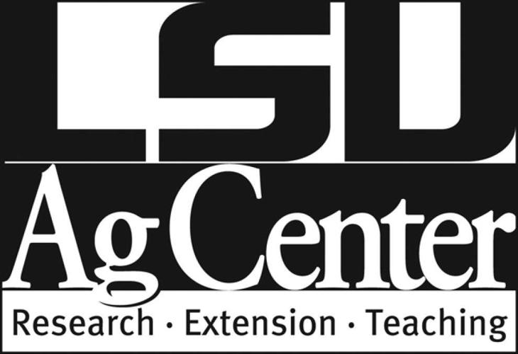 LSU AgCenter Garden News: Henna coleus named Louisiana Super Plant ...