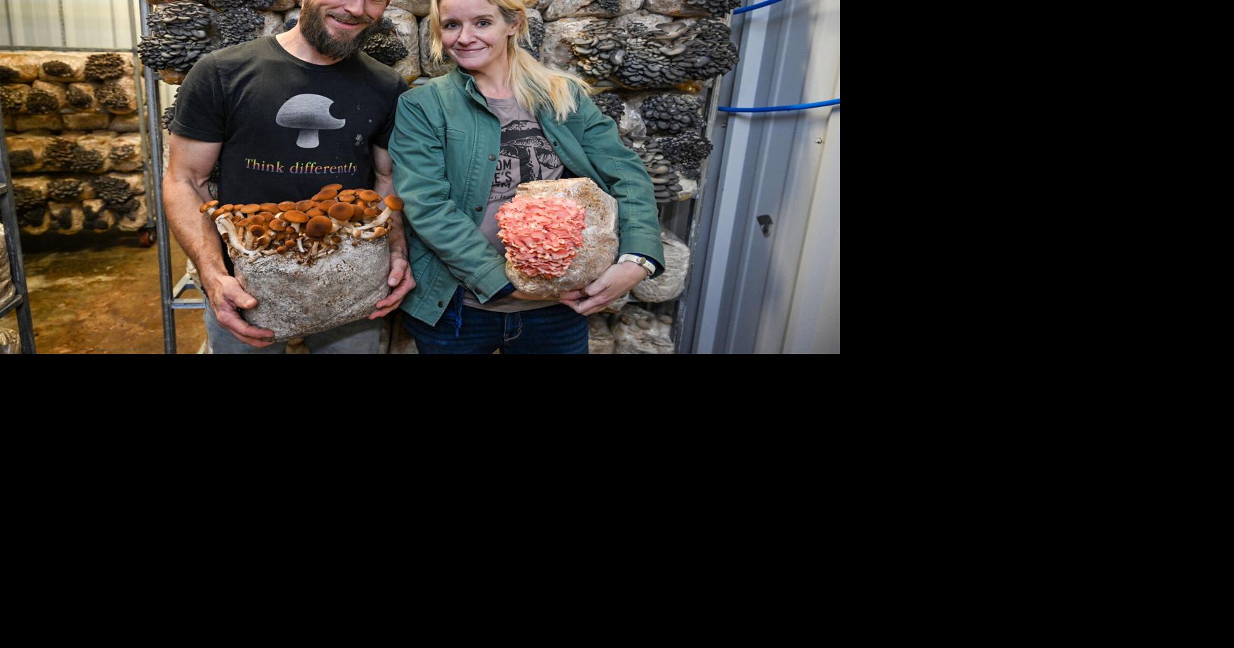 St. Francisville farm sells out of mushrooms every week | Food ...