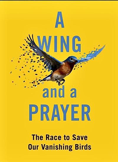 A Wing and a Prayer looks at disappearing bird species | Entertainment ...