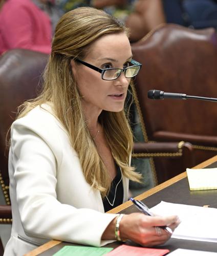 Our Views: Of lions and lambs, and elephants and donkeys in State ...