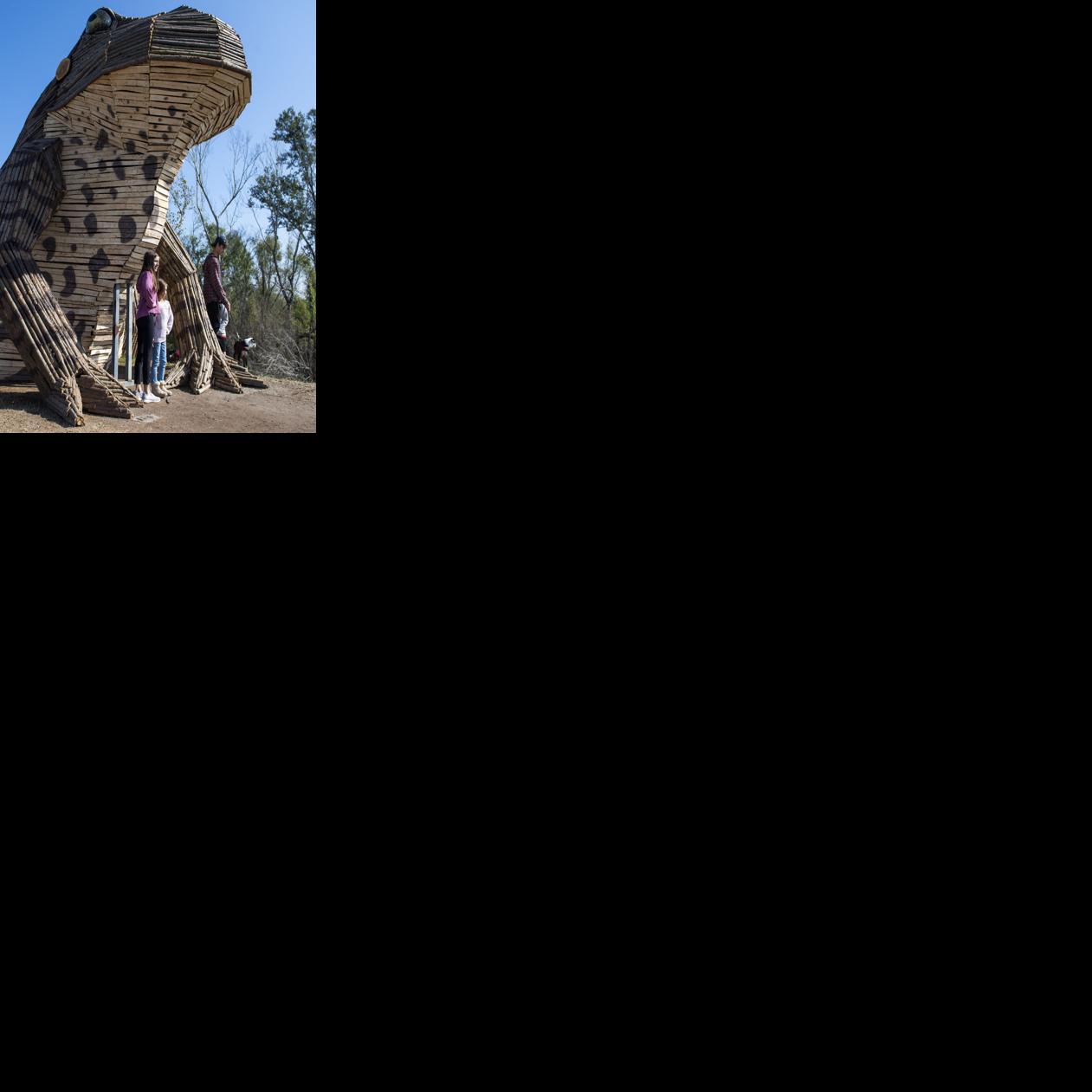 Christmas bonfires ready to roll despite cold weather | Communities ...