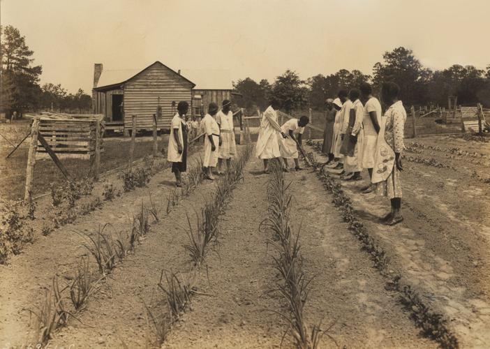 LSU Garden News: And the survey says ... No. 1 reason people garden is ...