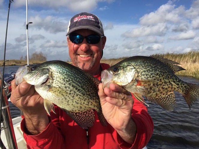 3 hotspots for sac-a-lait this weekend | Louisiana Outdoors ...