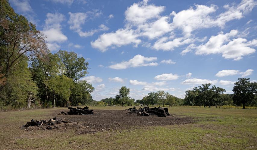 Monster bonfire being saved for the holidays came to ruins | News ...