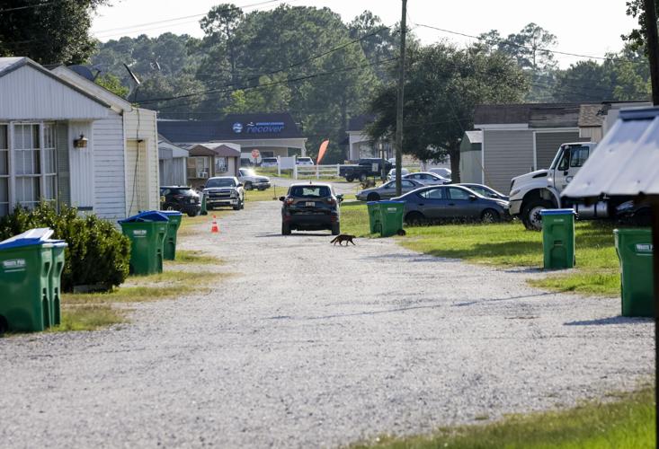 New Orleans developer Zach Kupperman invests in mobile homes | Business ...